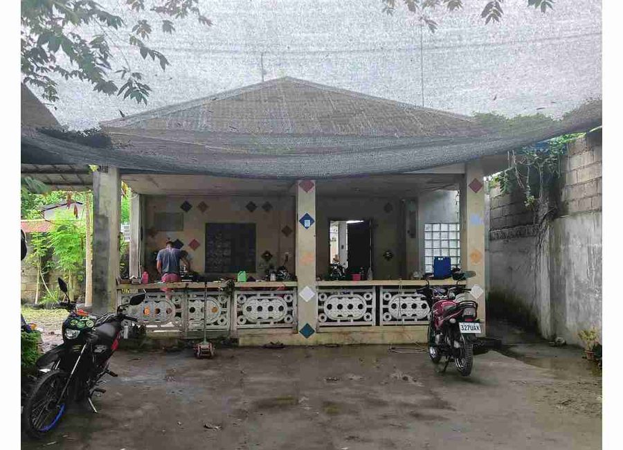 House & Lot for sale in Poblacion Moal, Boal, province of Cebu ...