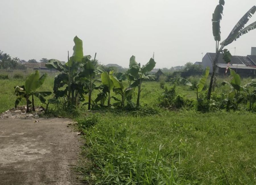 Kapling Tanah Bogor Angsur 12x No Bunga; Dekat SMKN 01 Ciomas | Lamudi ...
