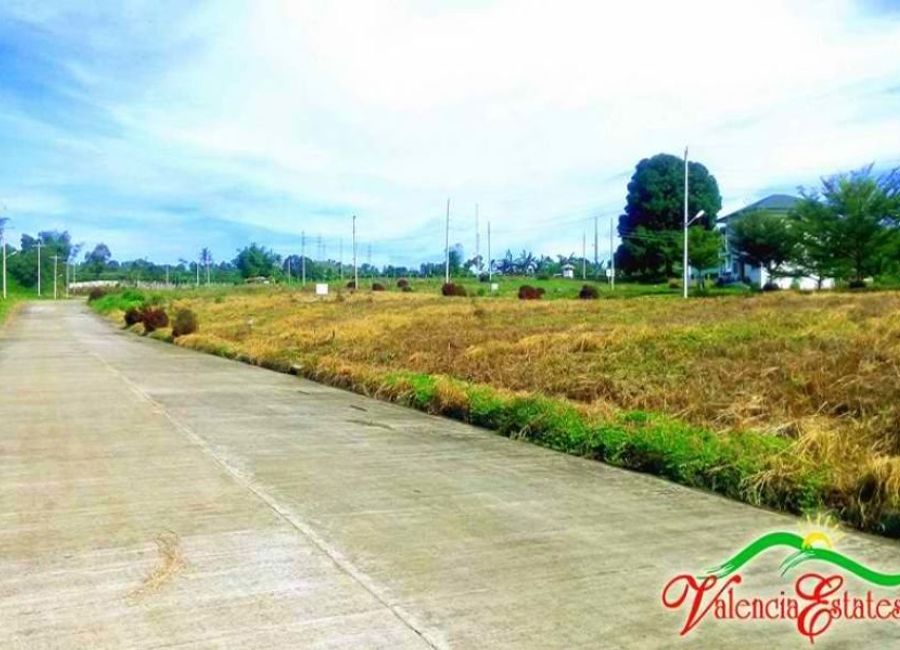 Residential Lot for Sale in Valencia Estates | Lamudi.com.ph