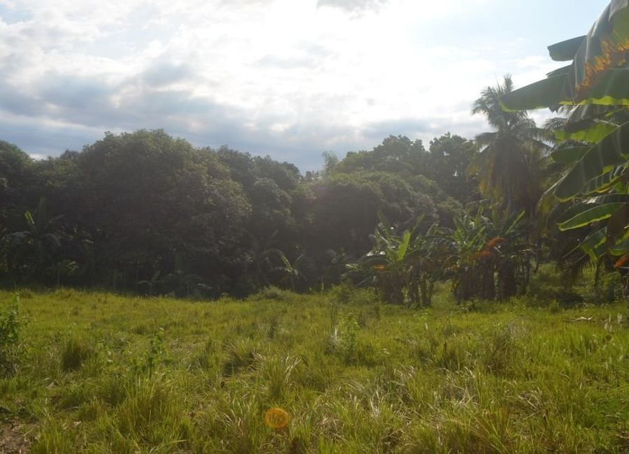 Sibonga farm land and along the road near simala lindogon church ...