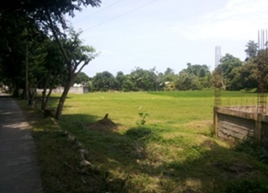 Residential / Agricultural lot for sale, Bacnotan, La Union | Lamudi.com.ph