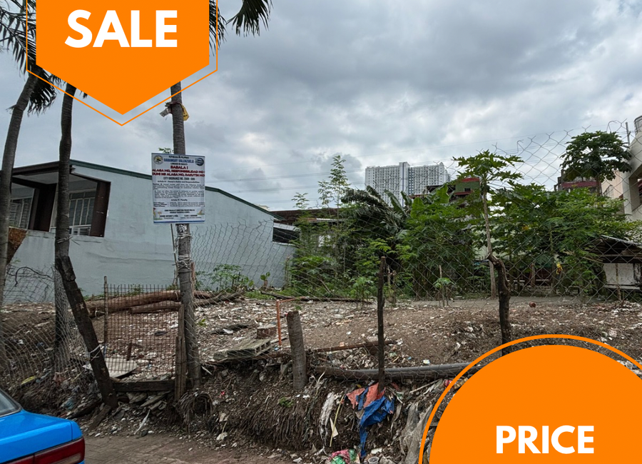 400 sq. meters Residential Lot for sale at Baler Street, Makati City ...