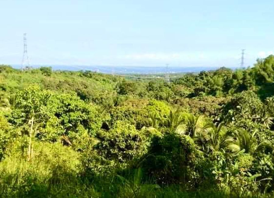 Titled lot Overlooking Manila Bay | Lamudi.com.ph