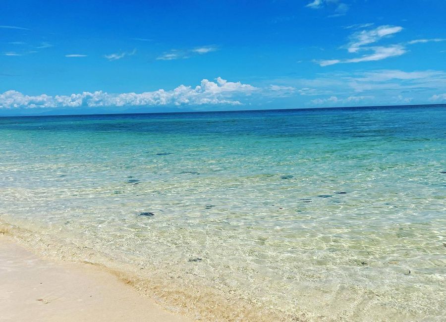 Beach Lot for sale at Anapog, San Remegio, Cebu | Lamudi.com.mx