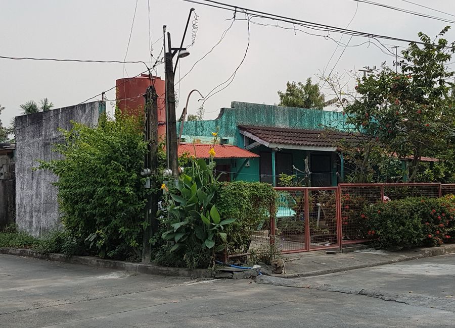 158 square meters Corner lot Multinational Village, Paranaque | Lamudi ...