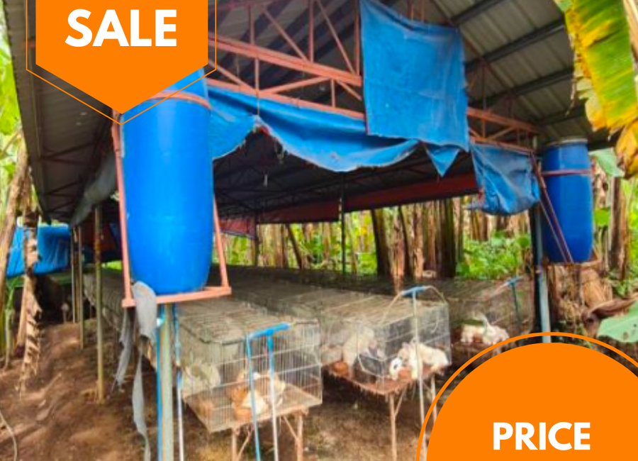 Agricultural Lot for sale in Marahan II, Alfonso, Cavite | Lamudi.com.ph