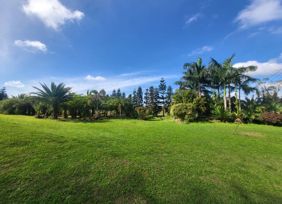 Beautiful Prime Tagaytay Lot for Sale | Lamudi.com.ph