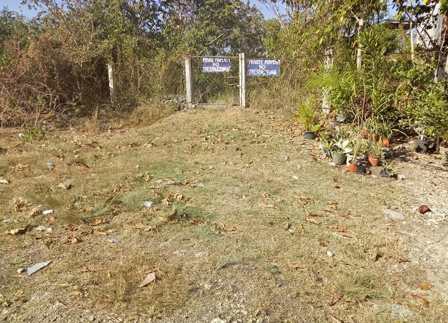 218sqm Clean Title Residential lot for sale in Bool Tagbilaran City ...