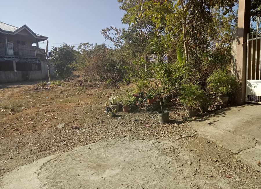 218sqm Clean Title Residential lot for sale in Bool Tagbilaran City ...