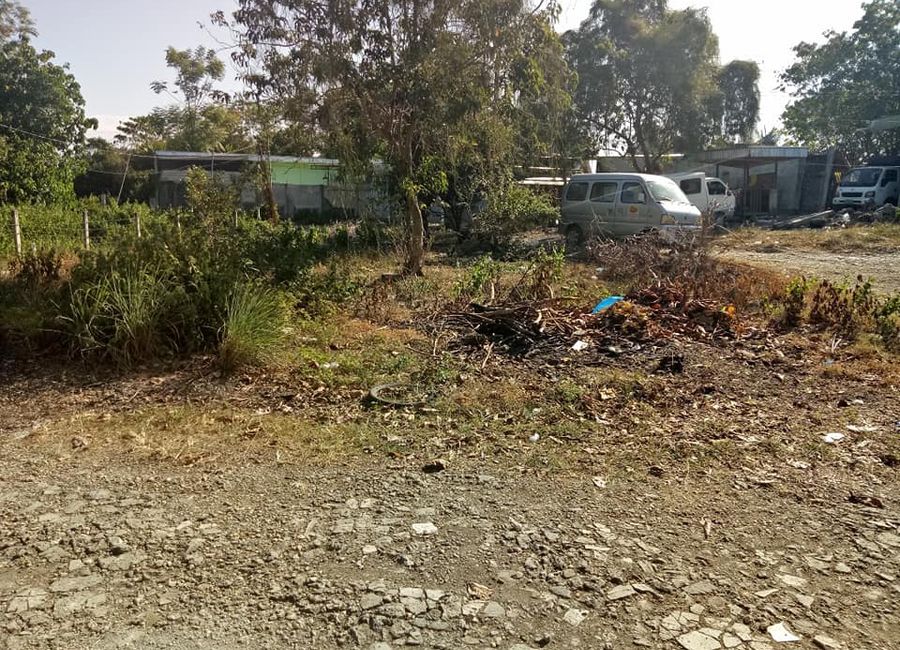 218sqm Clean Title Residential lot for sale in Bool Tagbilaran City ...