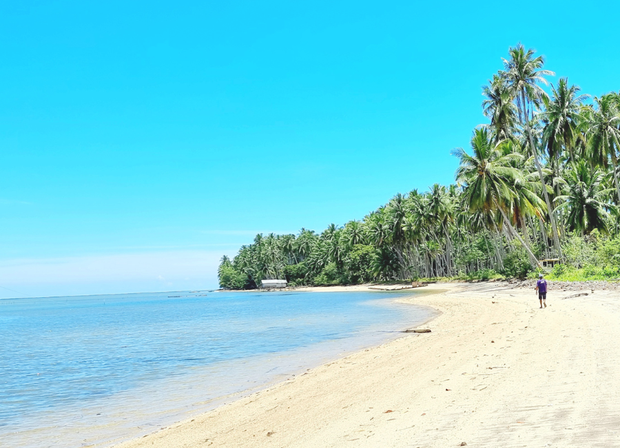 Beach Lot Property For Sale in Quezon, Palawan Near Puerto Princesa ...