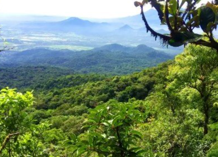 Makiling heights Los Banos Laguna lot for sale | Lamudi.com.ph