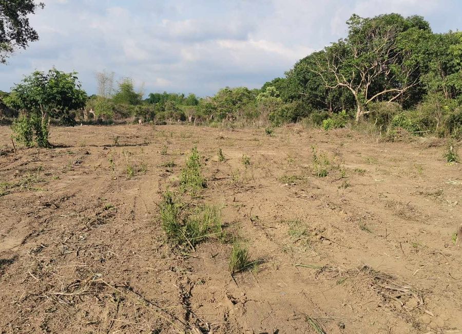 Titled subdivided residential/farm lot | Lamudi.com.mx