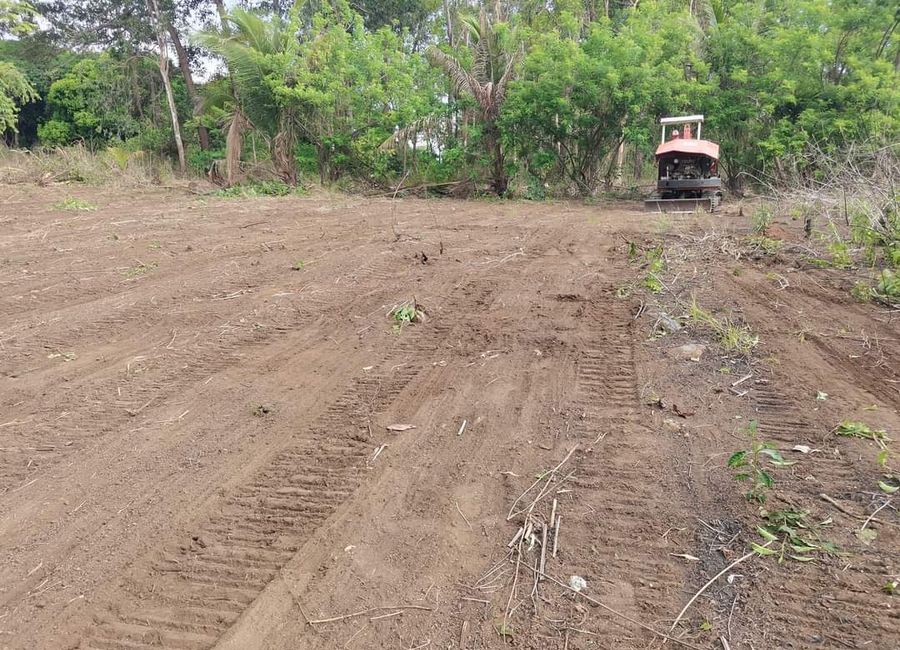 Titled subdivided residential/farm lot | Lamudi.com.mx