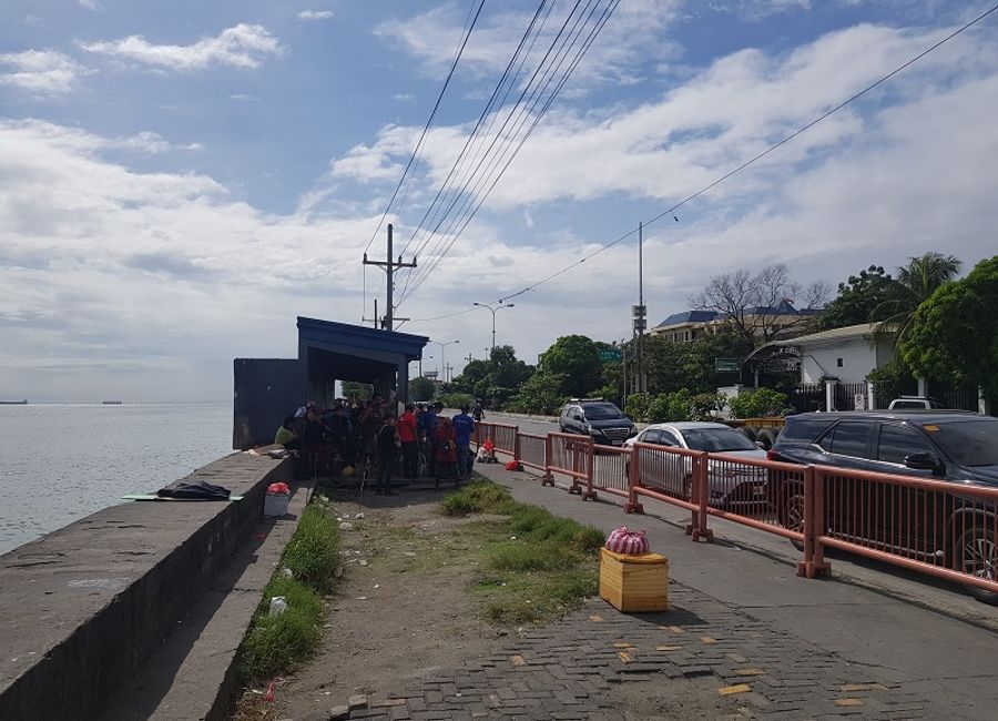 For Sale: 4.4 Hectares Commercial Lot along MICT Access Road, Tondo ...