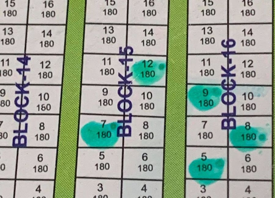 Punta Verde Vacant 250 sqm Lot For Sale in Brgy Cacutud, Angeles City ...