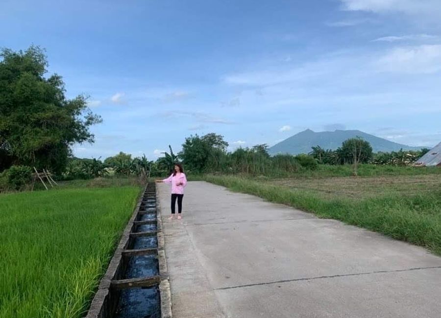1,000 square meters Farm Lot for Sale in Magalang, Pampanga | Lamudi.com.ph