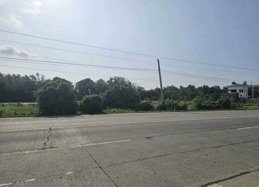 7,993 SQM COMMERCIAL LOT along C1 Road near Vista Mall Iloilo - Price ...