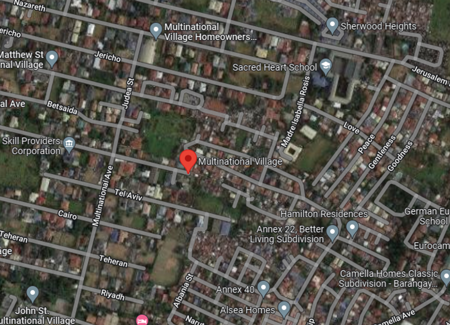 For Sale Vacant Lot in Multinational Subdivision Parañaque City ...