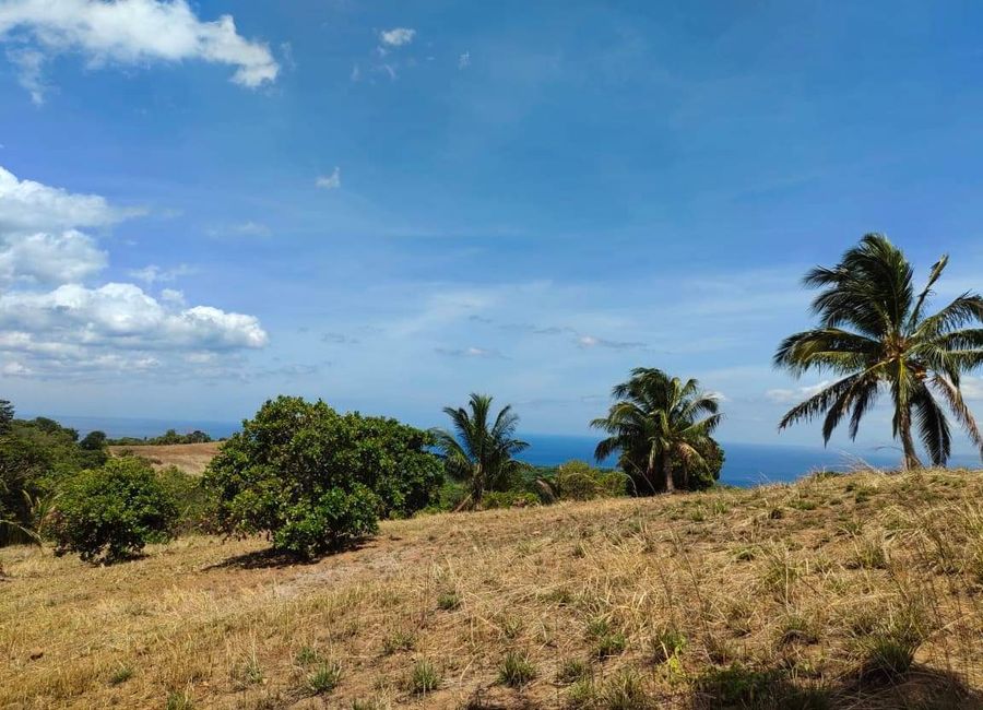 For Sale: 500 sqm Overlooking Farm Lot with Sea View & Mountain View in ...