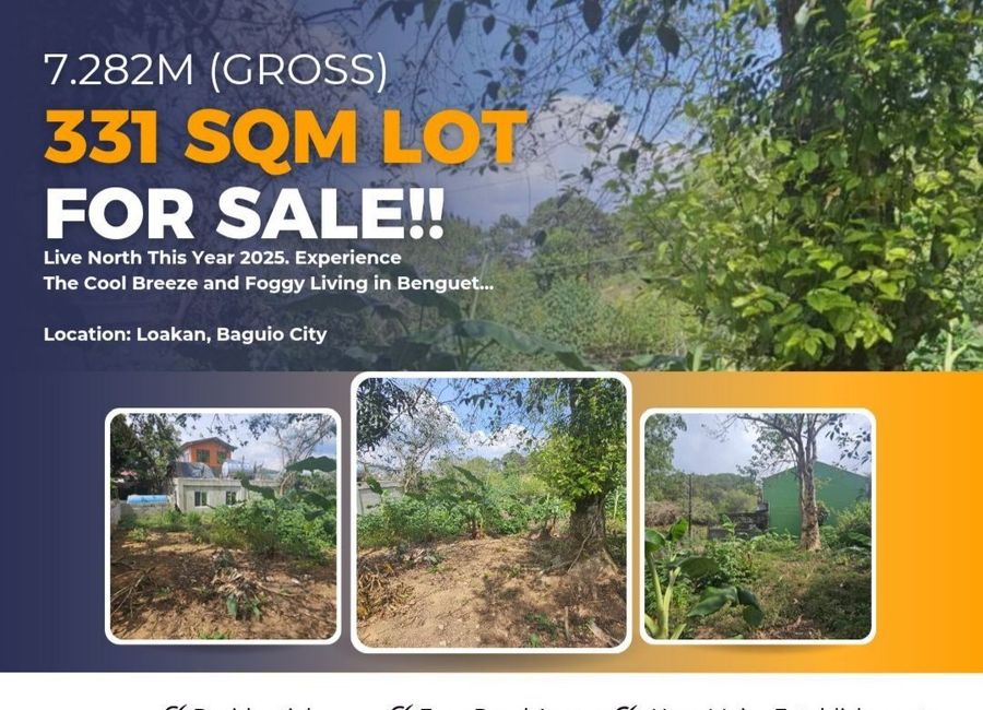 331 sqm Prime Residential Flat Terrain Investment Lot NEAR AIRPORT ...