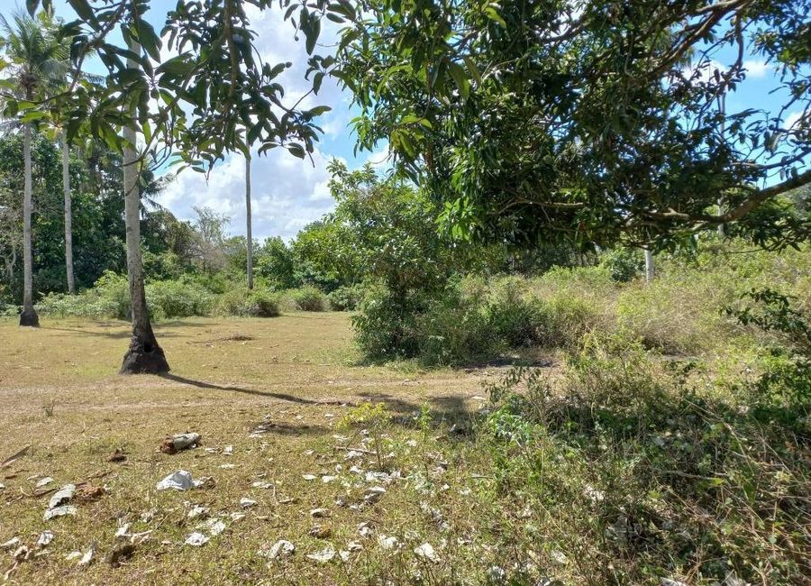 6,579 sqm Farm/Residential Lot for Sale in Brgy. Tinga Labac, Batangas ...