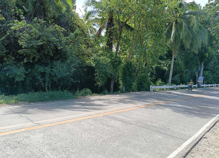 2,500sqm lot in Bingag Dauis Panglao Bohol at 2500 per sqm | Lamudi.com.ph