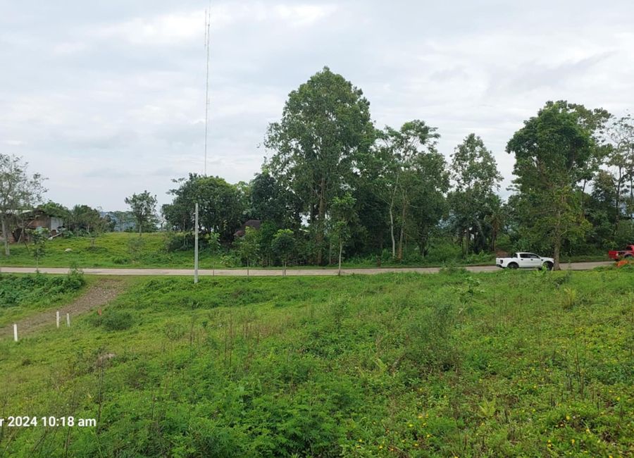 LOT FOR SALE LANISE CLAVERIA MISAMIS ORIENTAL | Lamudi.com.ph