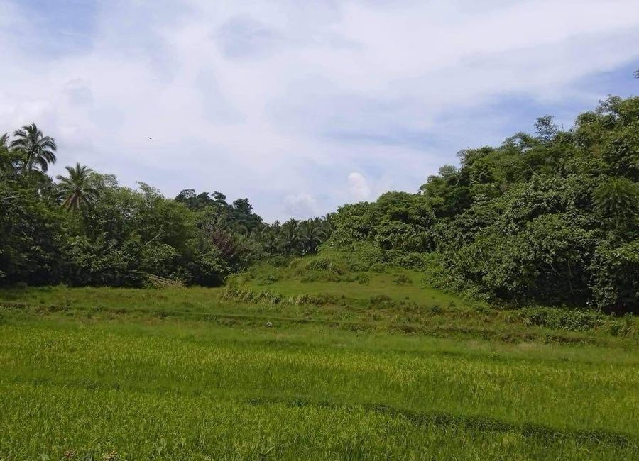 VAST LUCBAN FARMLAND WITH RICE FIELD, FRUIT TREES, CREEK, AND SPRING ...