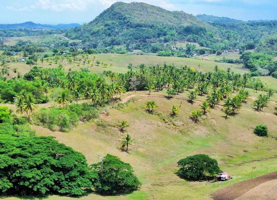 3,125 monthly for 100sqm in Tabogon, Cebu | Lamudi.com.ph