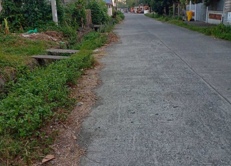 600 sq. meters Residential Lot For Sale in Manggahan, Toril, Davao City ...