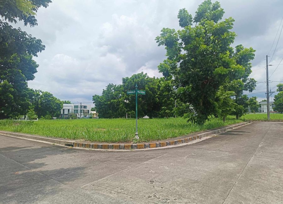 Corner lot for sale in Carmel Ridge Residential Estate Calamba laguna ...