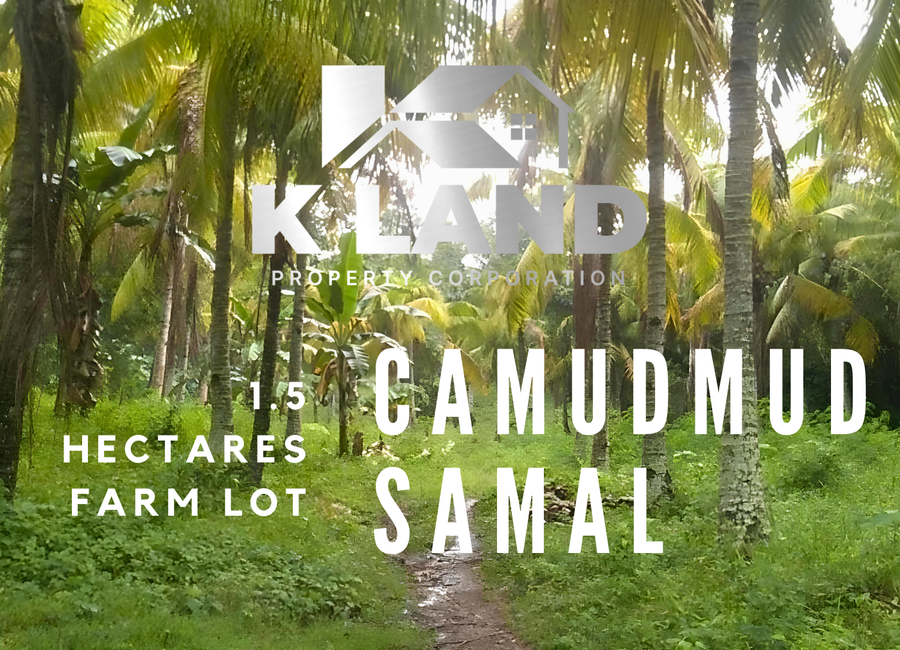 1.5 Hectares Tropical Paradise: Prime Investment Opportunity in ...