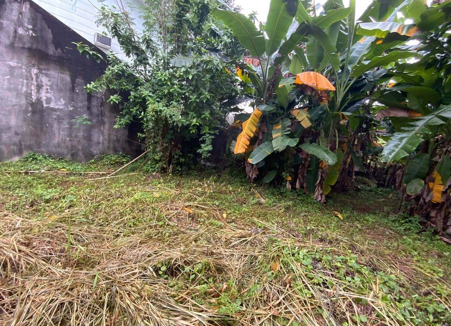 Lot For Sale in FILINVEST 2 EXCLUSIVE SUBDIVISION, Quezon City | Lamudi ...
