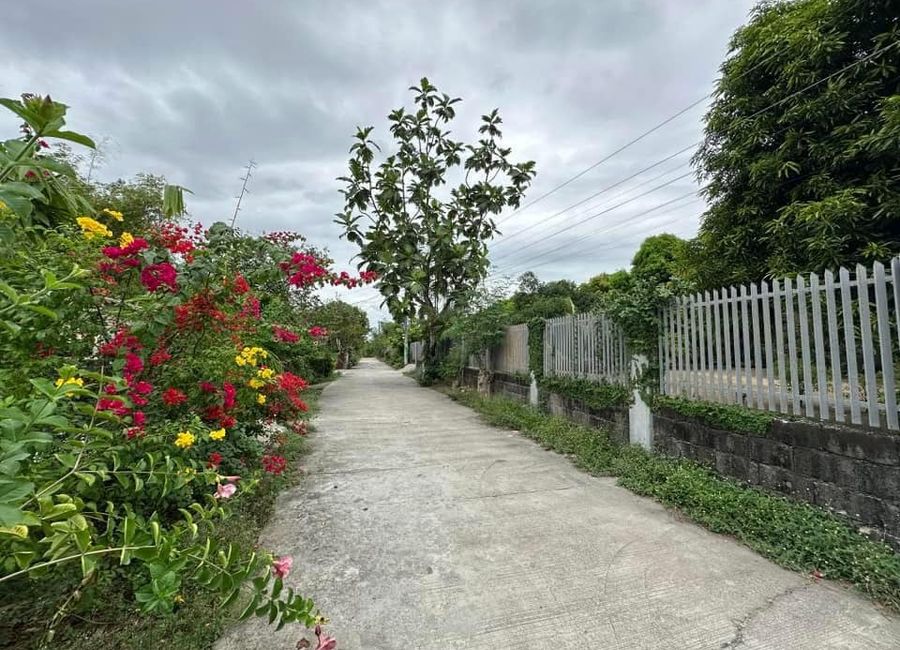 3 Hectare Farm House Resort with 5 Houses in Lubao Pampanga | Lamudi.com.ph