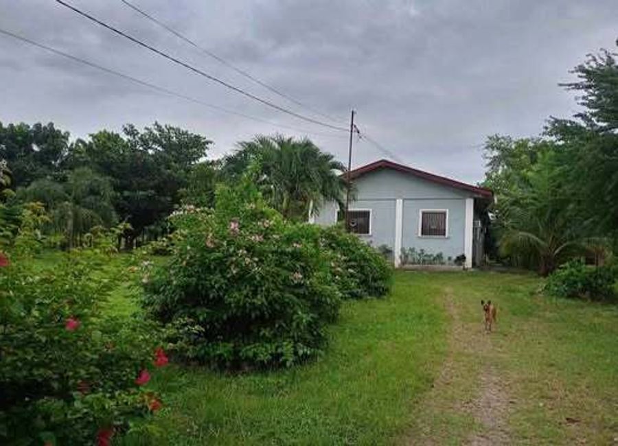 2.9 Hectares Farm Lot for Sale in La Paz Tarlac | Lamudi.com.ph