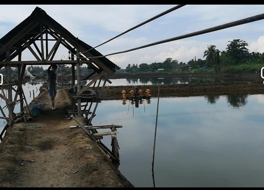 60 Hectares fully developed Fishpond for Sale | Lamudi.com.ph