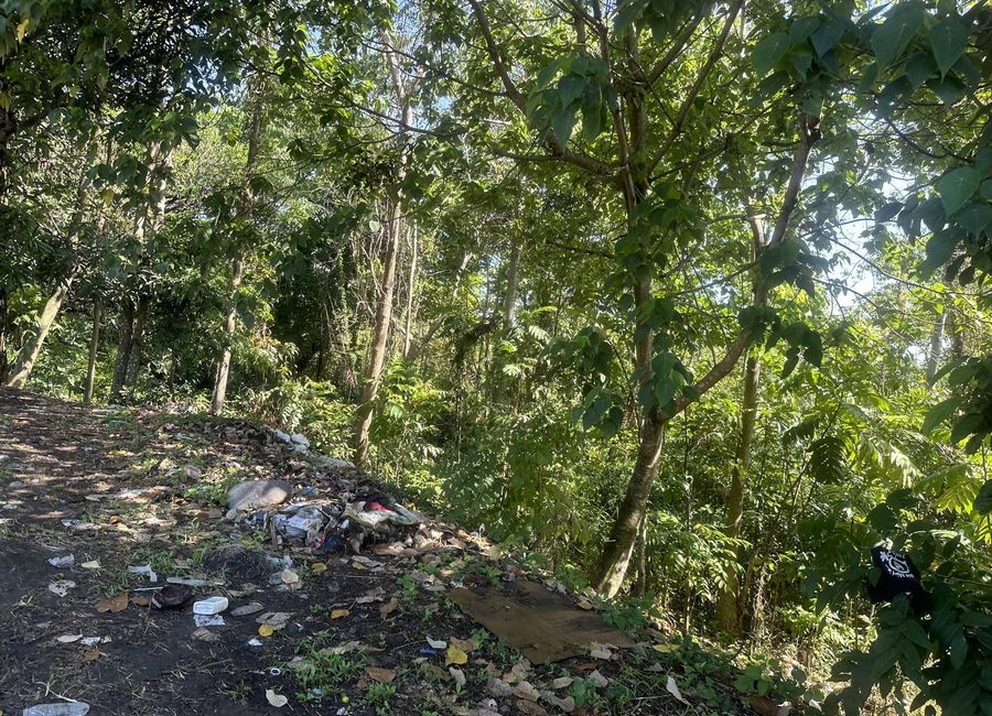 10 hectare lot along Eden-Bayabas Toril | Lamudi.com.ph