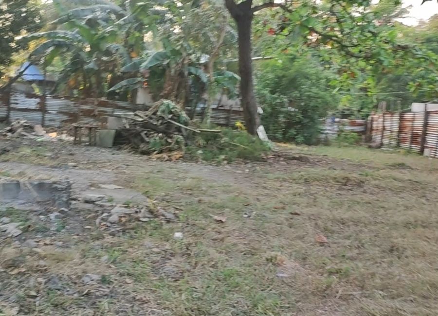 For Sale - Lot near Lopez Commercial., Sucat Rd. Brgy. San Isidro ...