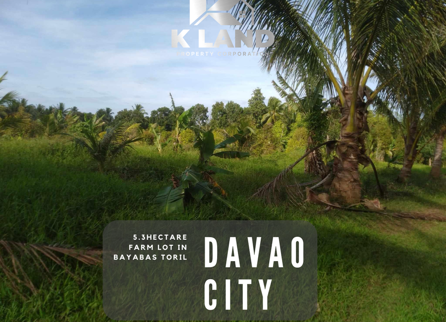 Prime 5.3 Hectares Lot for Sale in Crossing Bayabas, Toril | Lamudi.com.ph
