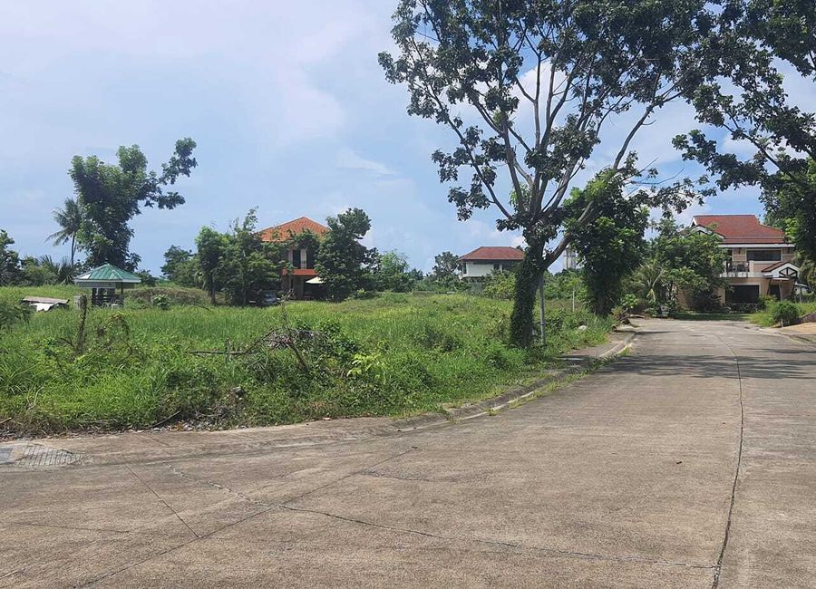 property # 8006 lot for sale in amara subdivision catarman liloan ...