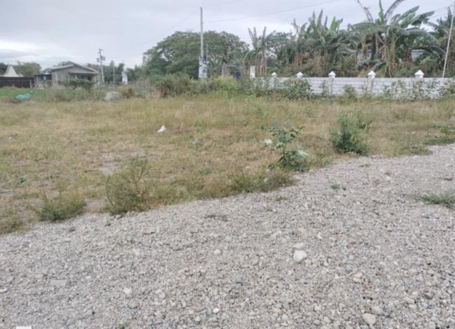 Residential Lot 500 sqm, clean title in Brgy. Sinipit Manibaug Porac ...