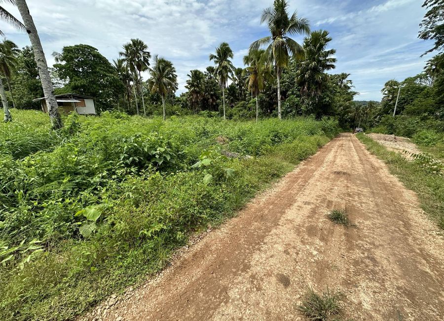 2000 sqm lot in Samal Island for Sale | Lamudi.com.ph