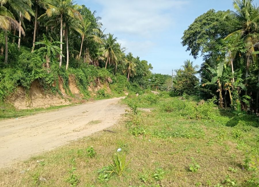 BEACH FRONT LOT with Overlooking and Farm lot AT CALAUAG QUEZON ...