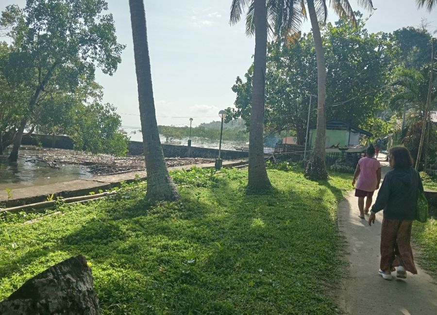 BEACH FRONT LOT with Overlooking and Farm lot AT CALAUAG QUEZON ...