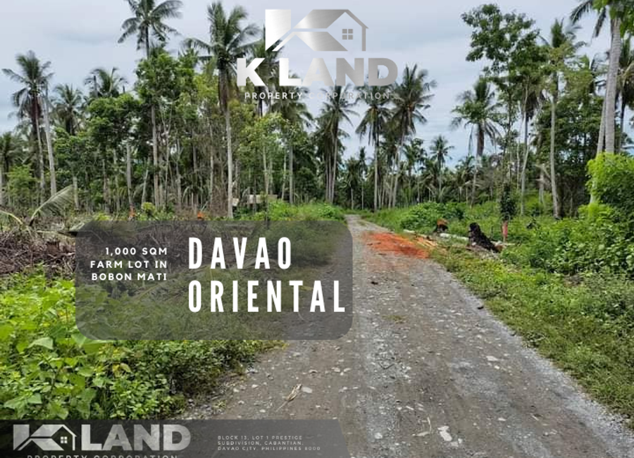 Bobon Mati Farm Lot for Sale | Lamudi.com.ph