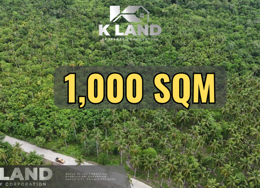 FOR SALE: Mini Farm Lot in Bobon, Mati | Lamudi.com.ph