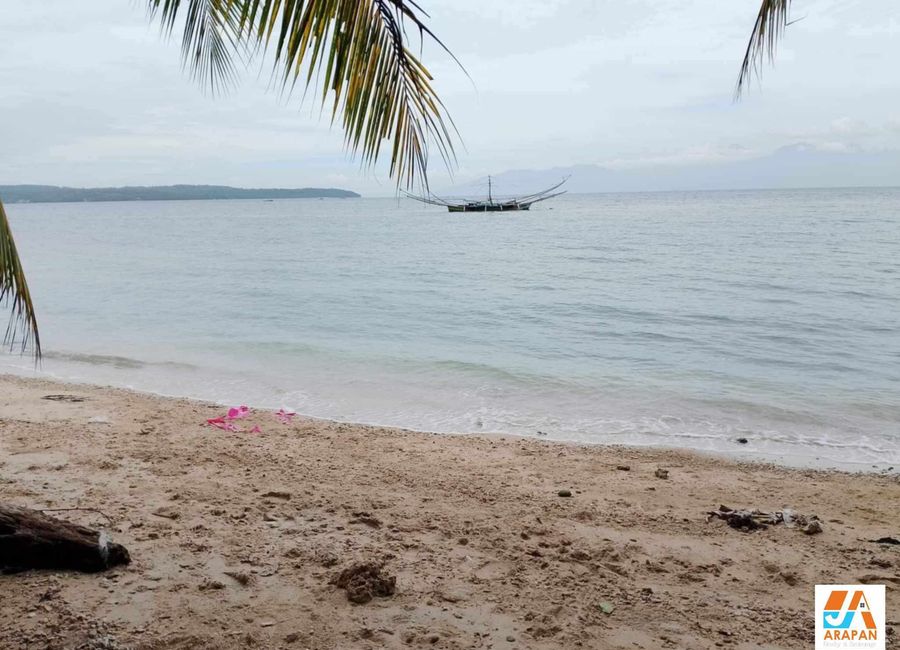 1 hectare Beachline w/ 40 mtrs frontage in Kaputian Samal Island Dvo ...