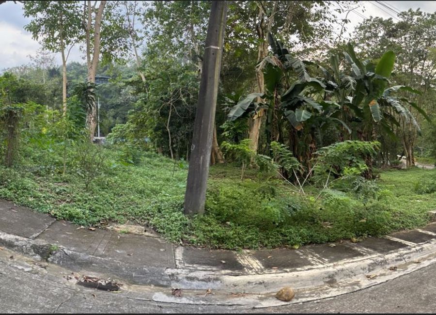 PARKRIDGE ESTATE ANTIPOLO LOT FOR SALE | Lamudi.com.ph