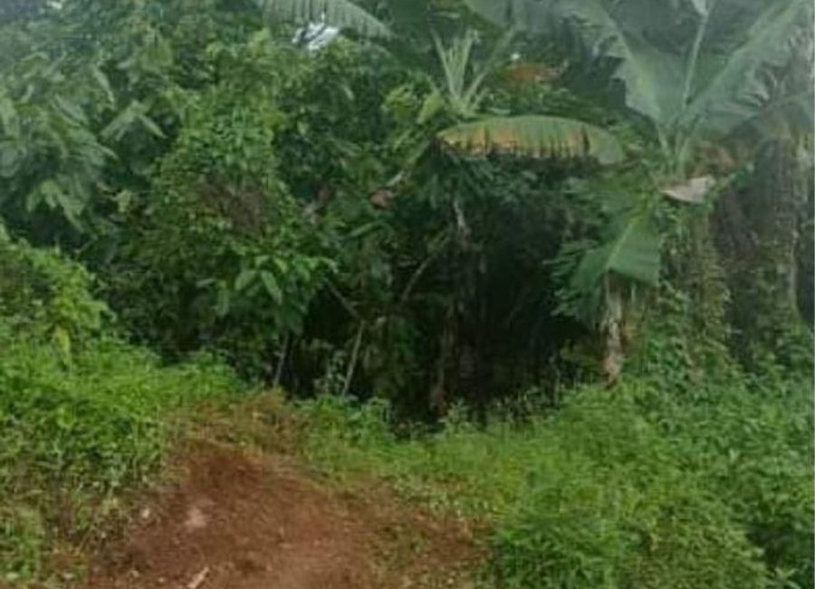 31,197 Sqm Lot is For Sale along the road at Calinan, Davao City ...